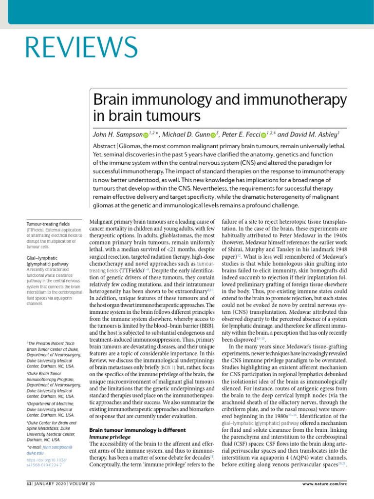 Brain Immunology And Immunotherapy In Brain Tumours Pdf