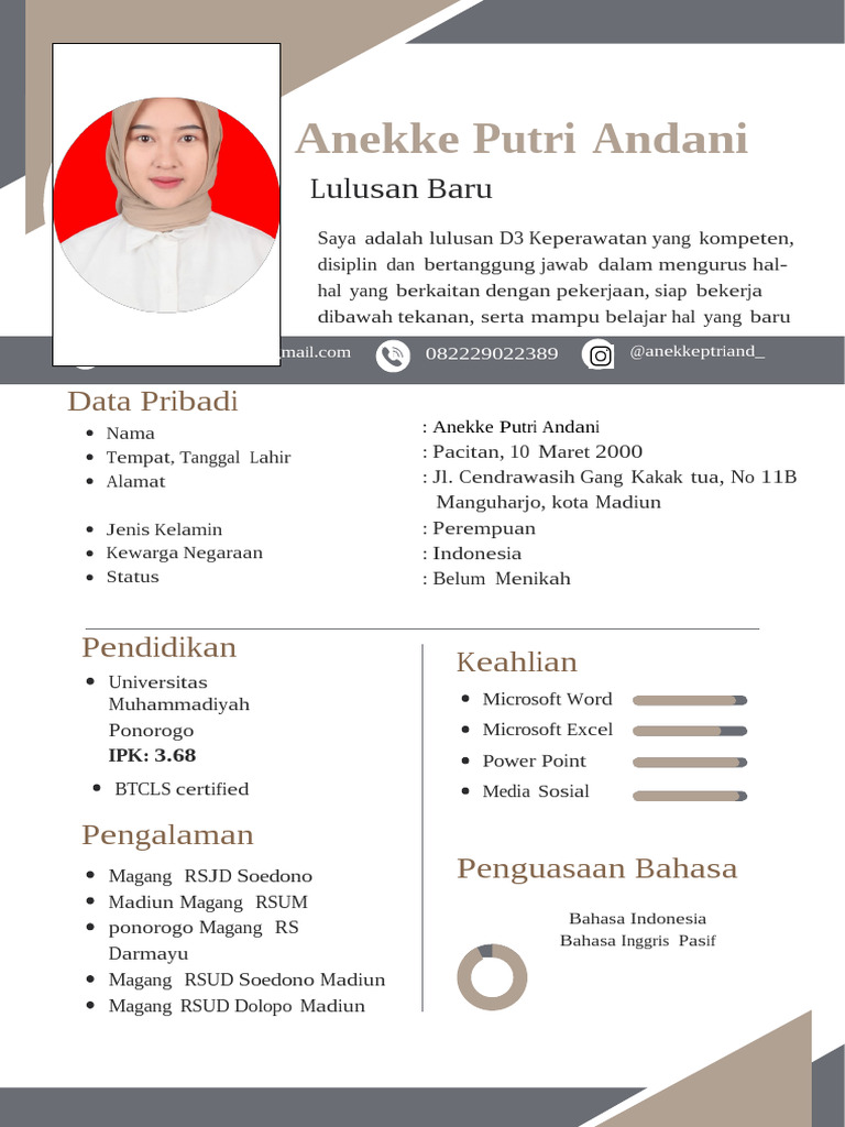 CV Anekke Putri Andani | PDF