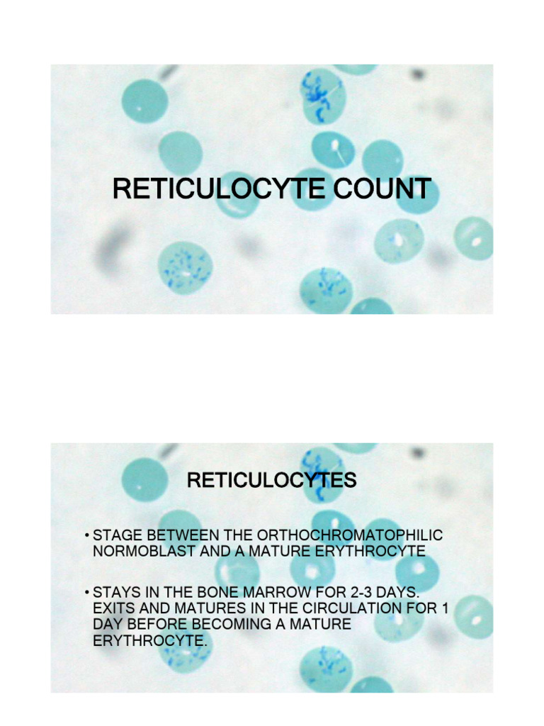 Reticulocyte Count | PDF