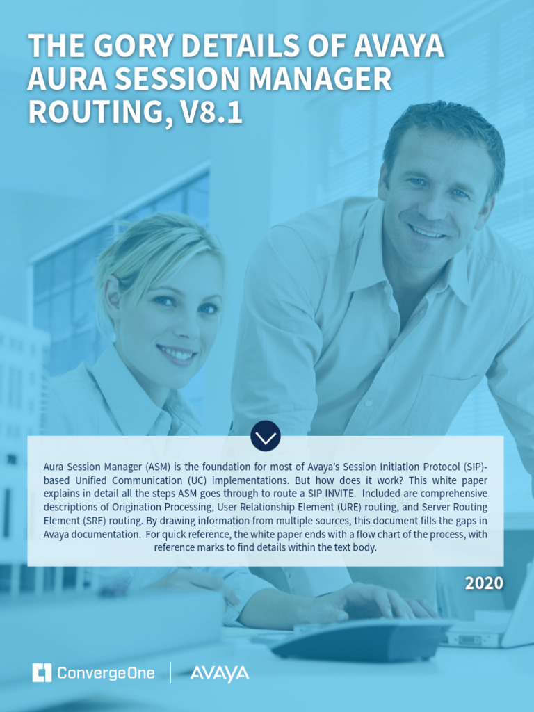 The Gory Details of Avaya Session Manager Routing 8 - 1 | PDF
