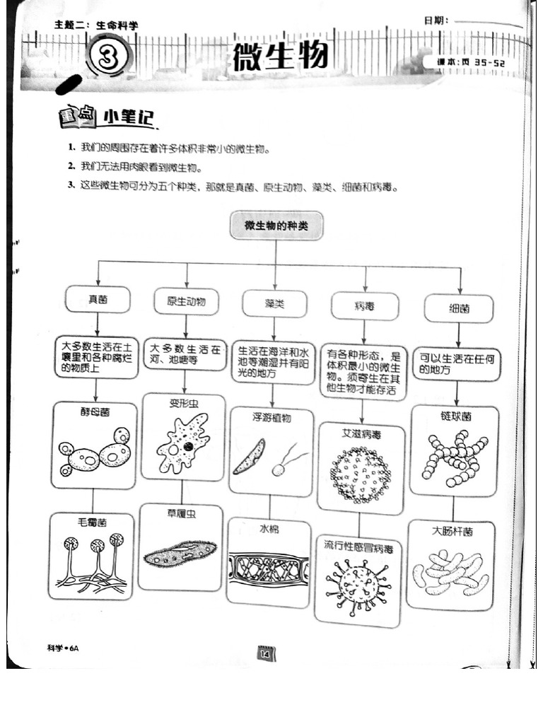 2024 Y6 SN AB Unit 3 | PDF
