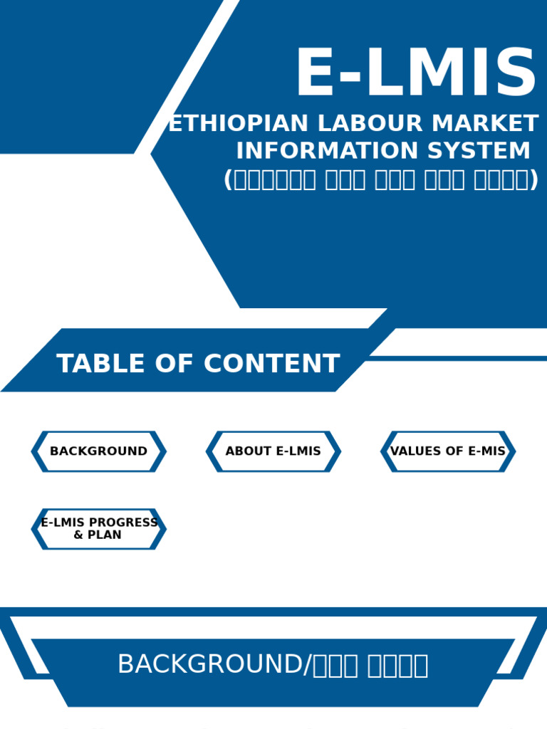 Amharic E-LMIS Presentation | PDF | Labour Economics | Business