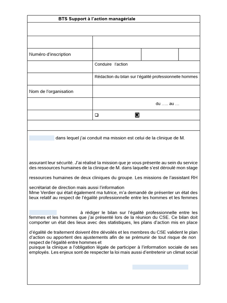 fiche-descriptive-mission-MATHIEU | PDF