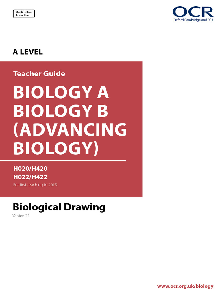 251799 Biology Drawing Skills Handbook | PDF