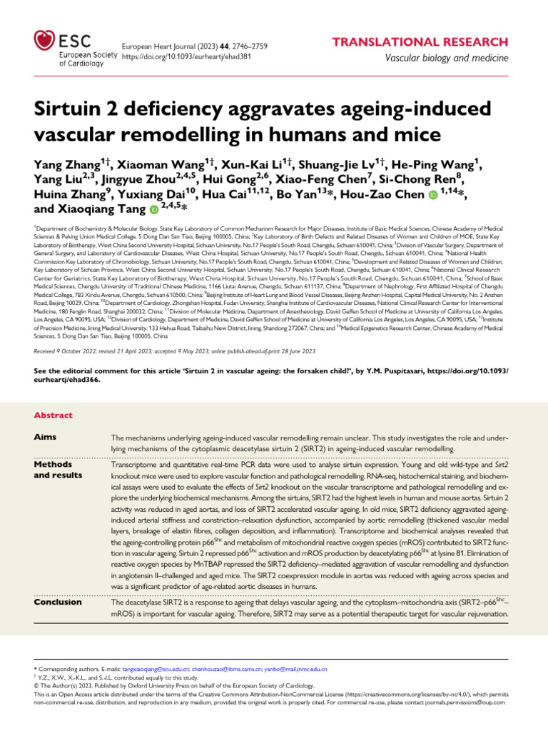Sirtuin 2 Deficiency Aggravates Ageing-Induced Vascular Remodelling in ...