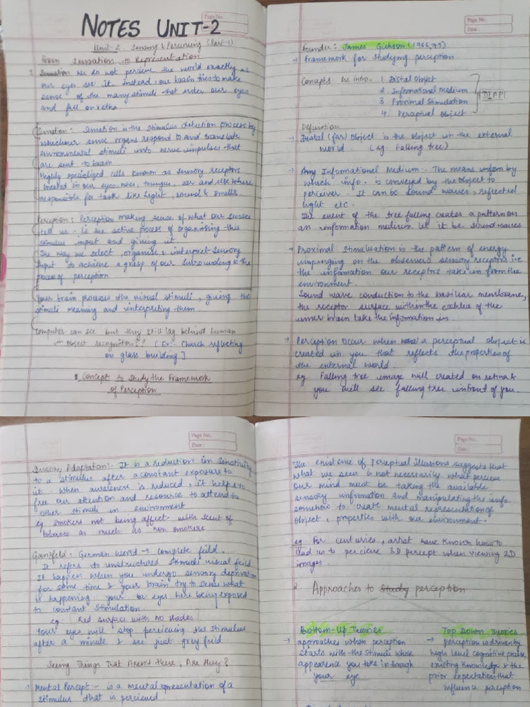 Cognitive Psychology Unit 2-1 | PDF