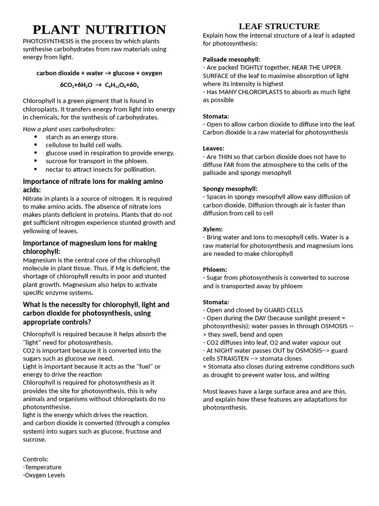 IGCSE 6 PLANT NUTRITION | PDF