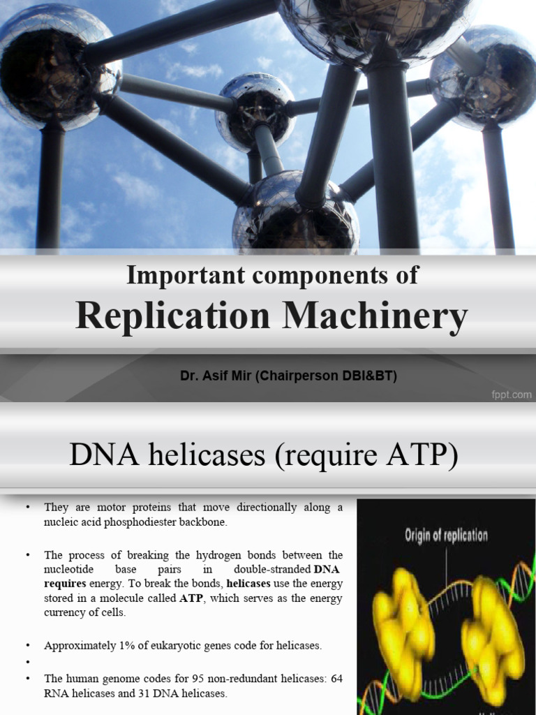 Important Components of Replication Machinery | PDF