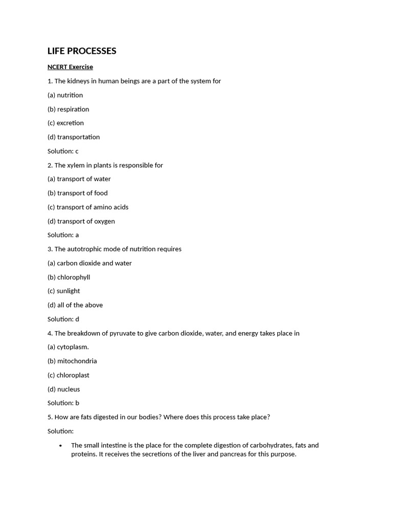 Life Process Exercise | PDF