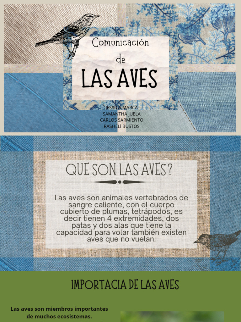 Presentación Las Aves (3) | PDF