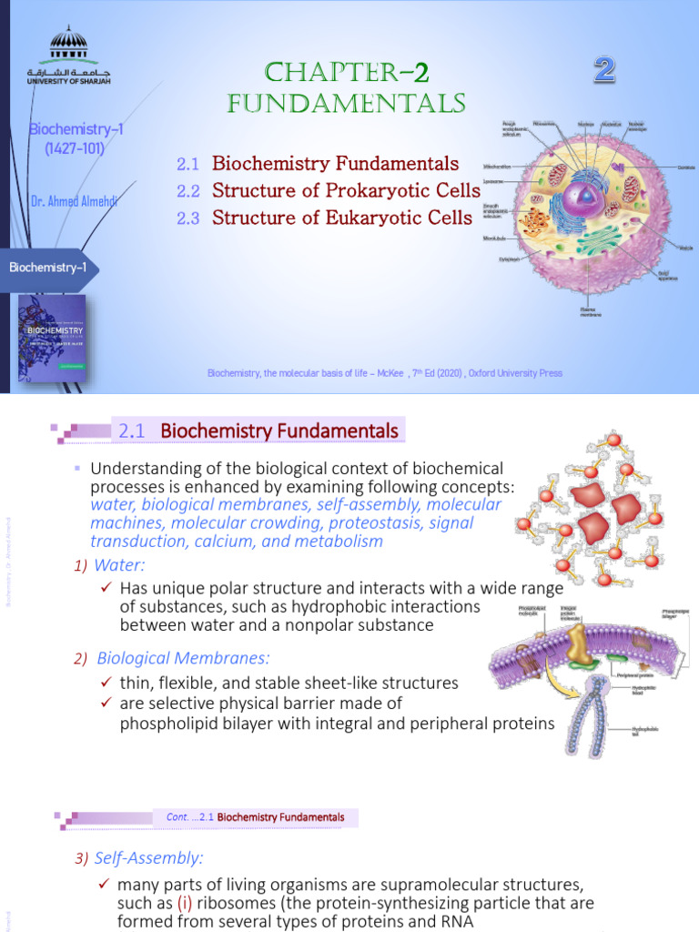 2BIOC1 F2024 Chap2 | PDF