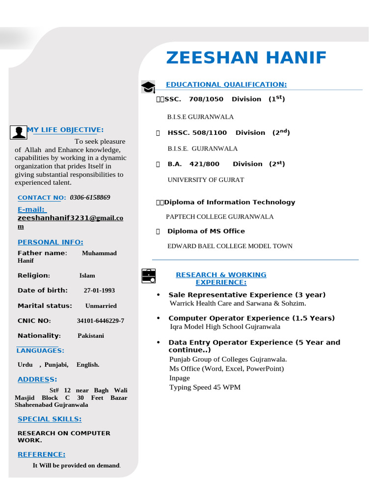 Zeeshan CV | PDF