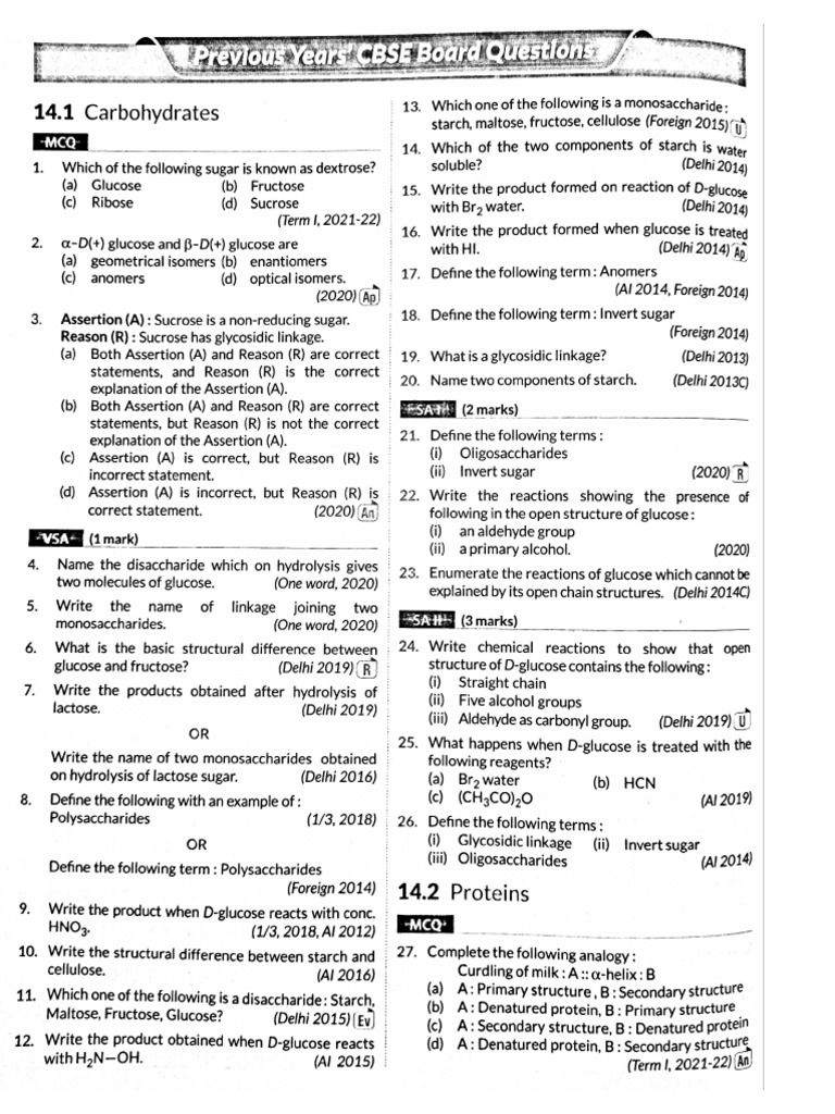 Biomolecule Cls 12 | PDF