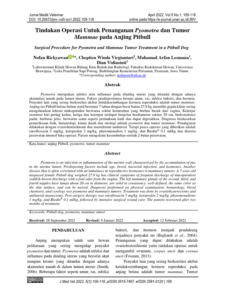 Pyometra | PDF