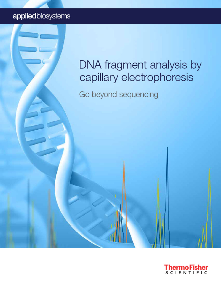 Dna Fragment Analysis Brochure | PDF