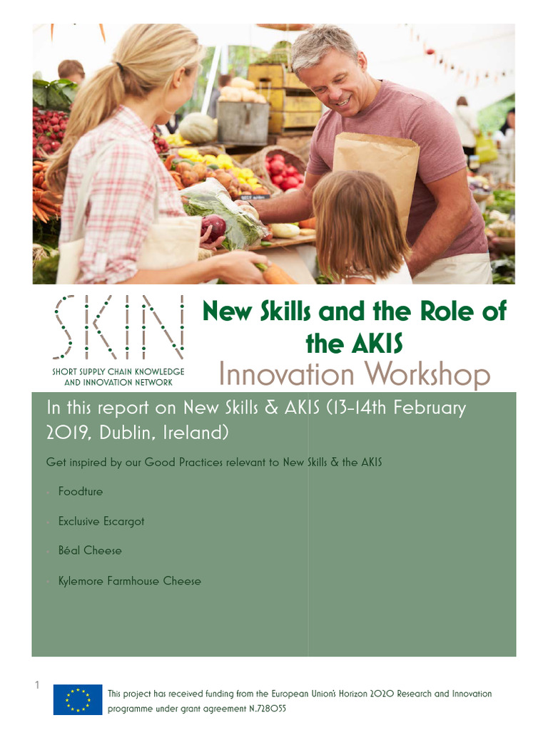 SKIN ICW Skills and AKIS FINAL | PDF