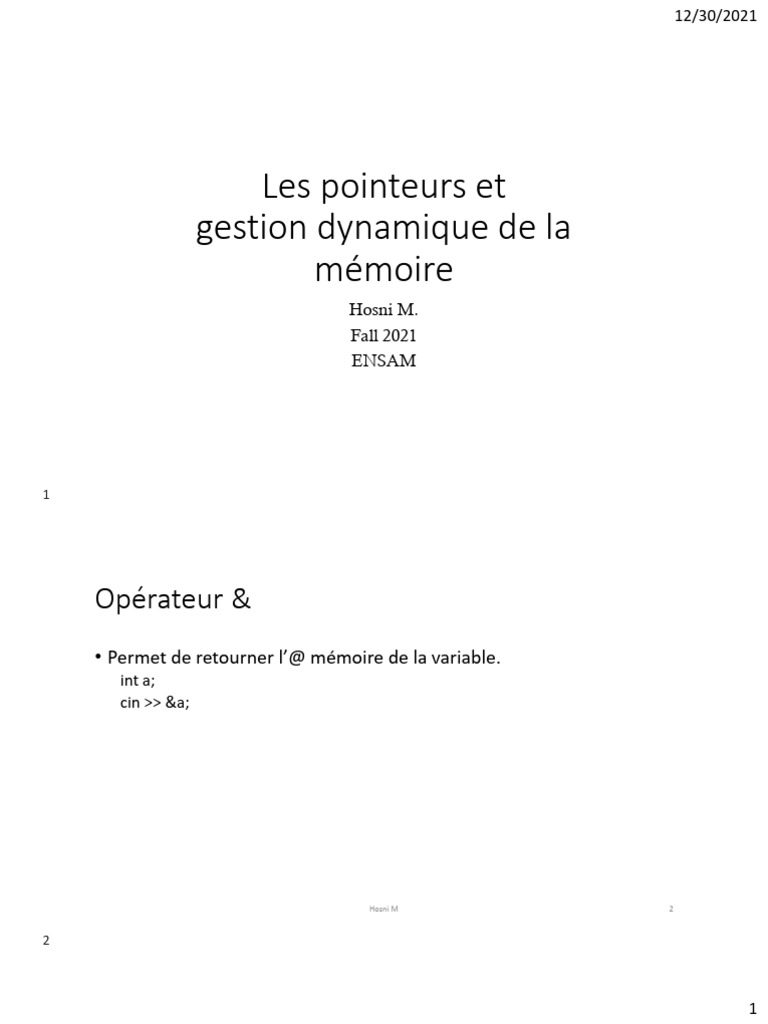 Pointers | PDF