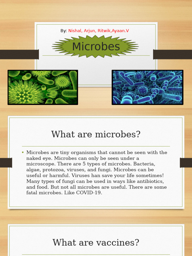 Microbes Presentation | PDF