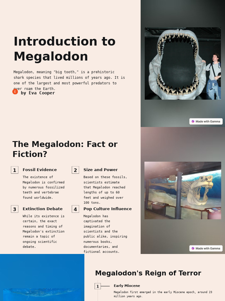 Introduction To Megalodon | PDF