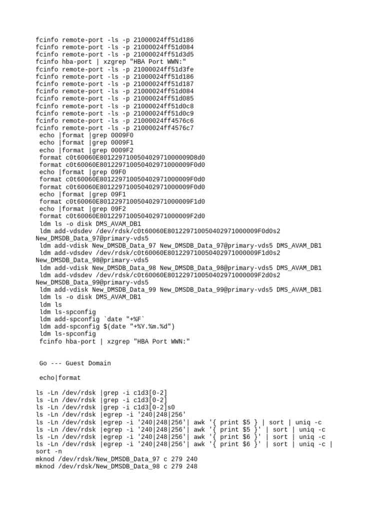 ASM Disk LDOM TNM | PDF