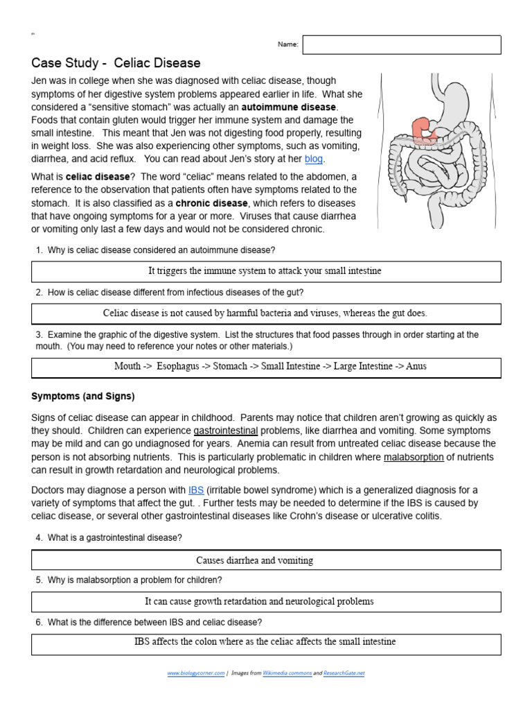 Case Study Digestive Turn in | PDF