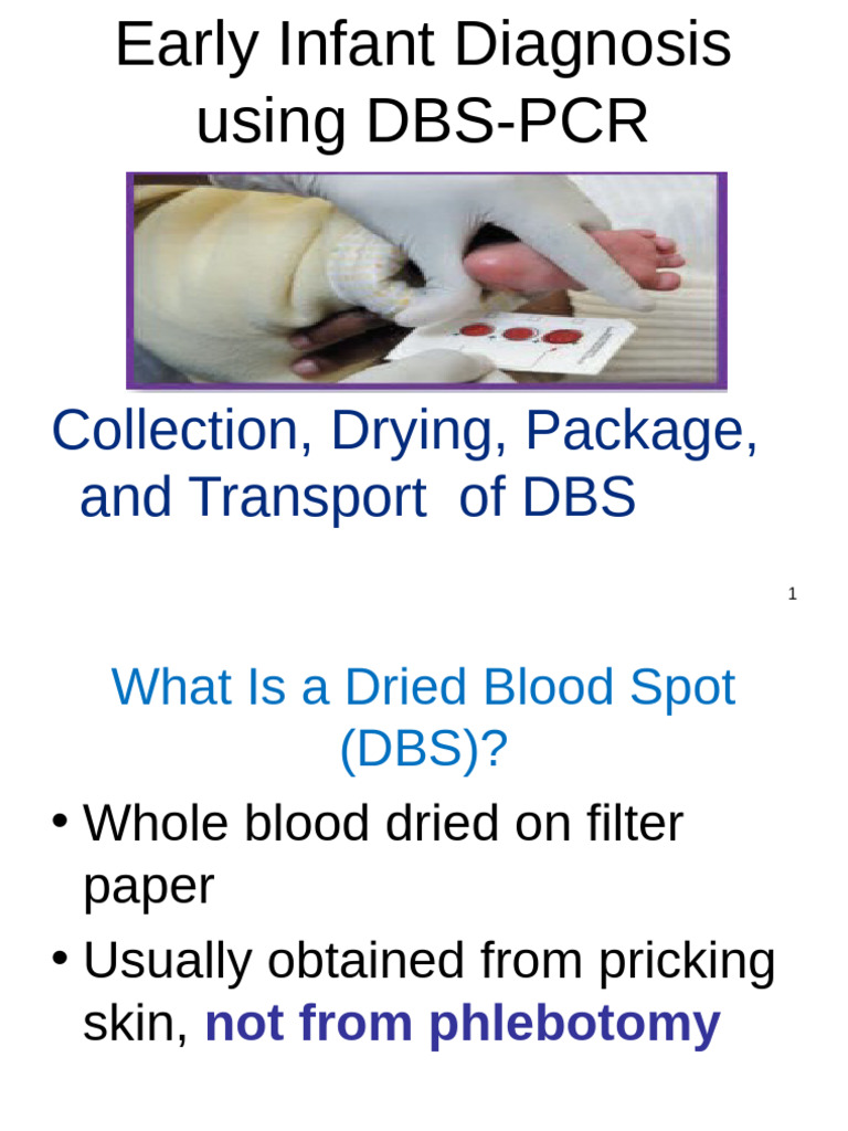 DBS Sample Collection and Transport Guide | PDF