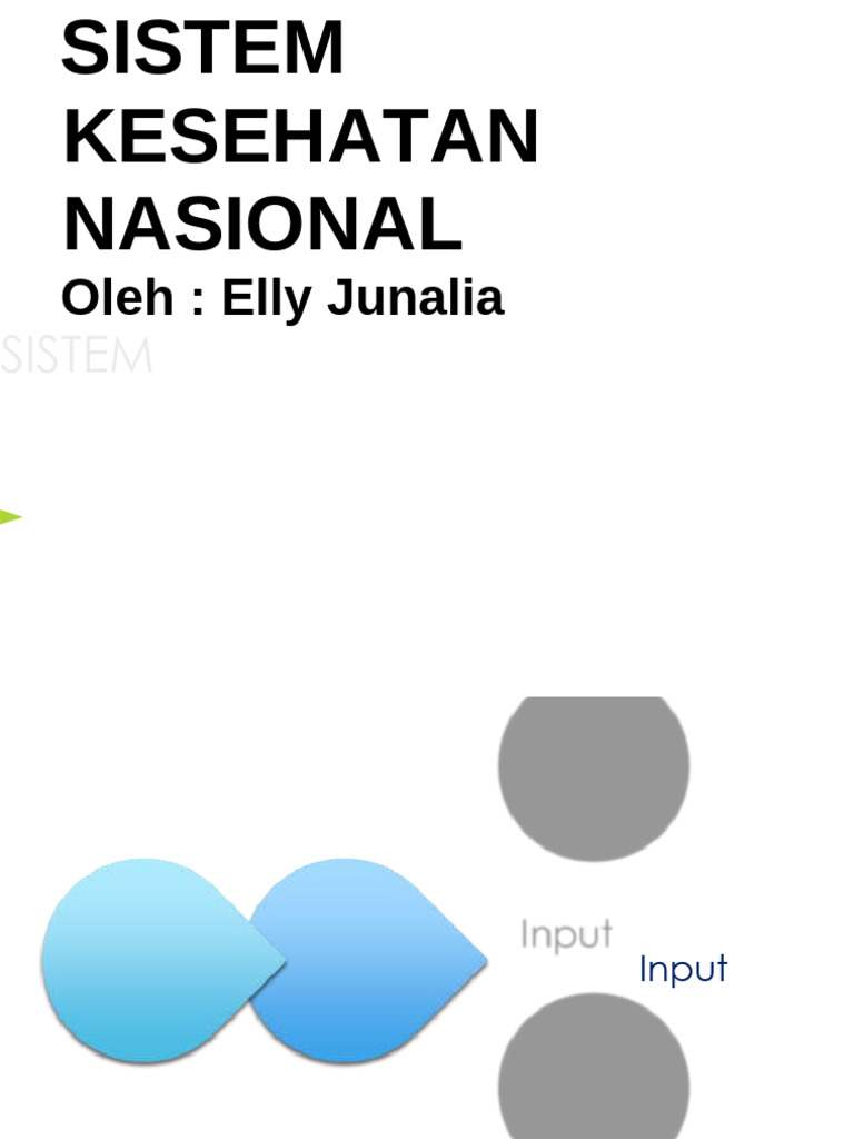 Sistem Kesehatan Nasional (SKN) | PDF