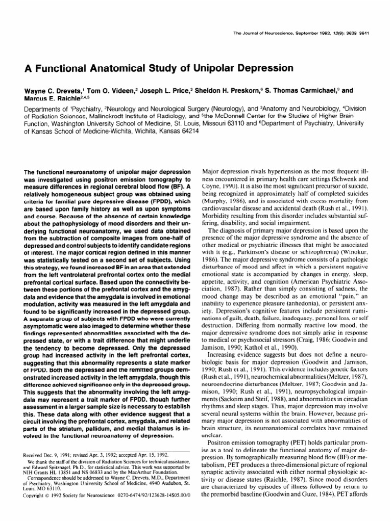 Anatomical Depression | PDF