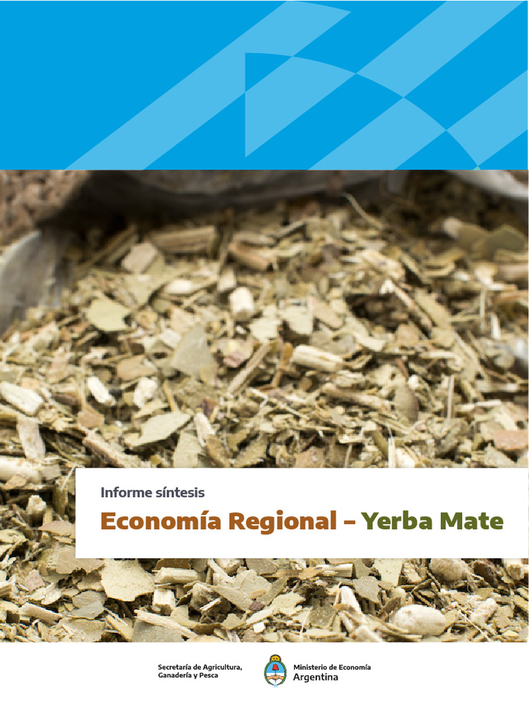 Informe Yerba Mate | PDF