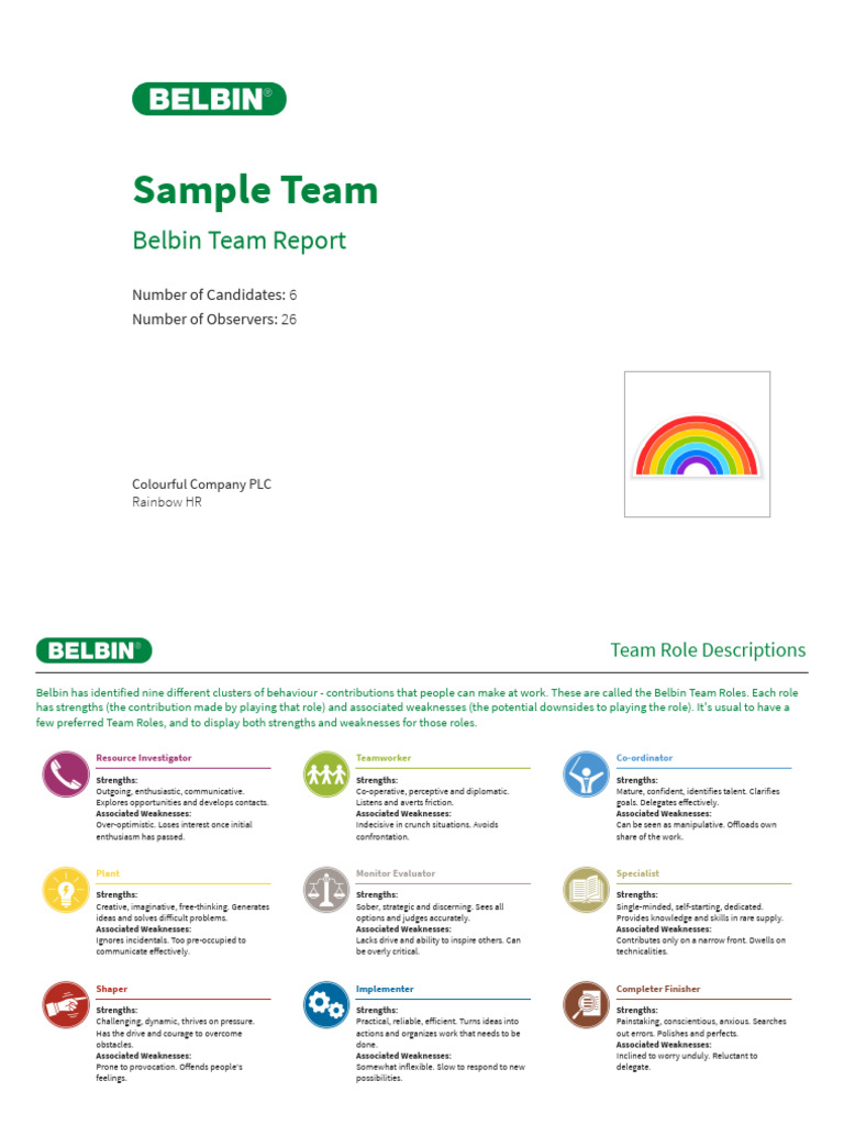 Belbin 8 Team Report Sample | PDF