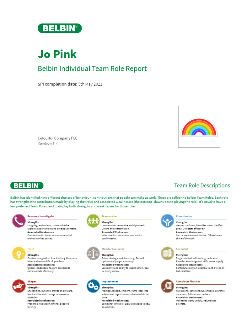 Belbin 8 SPI Report Sample | PDF