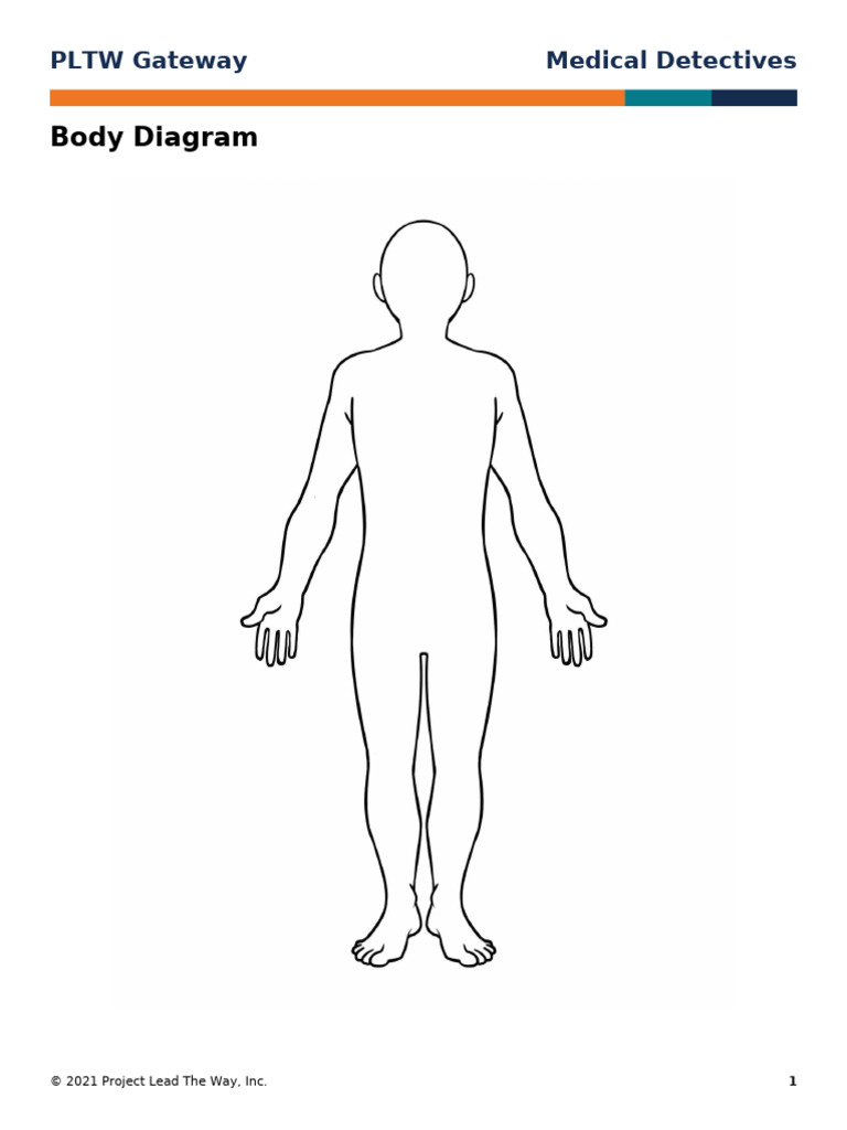 MD_Body_Diagram | PDF