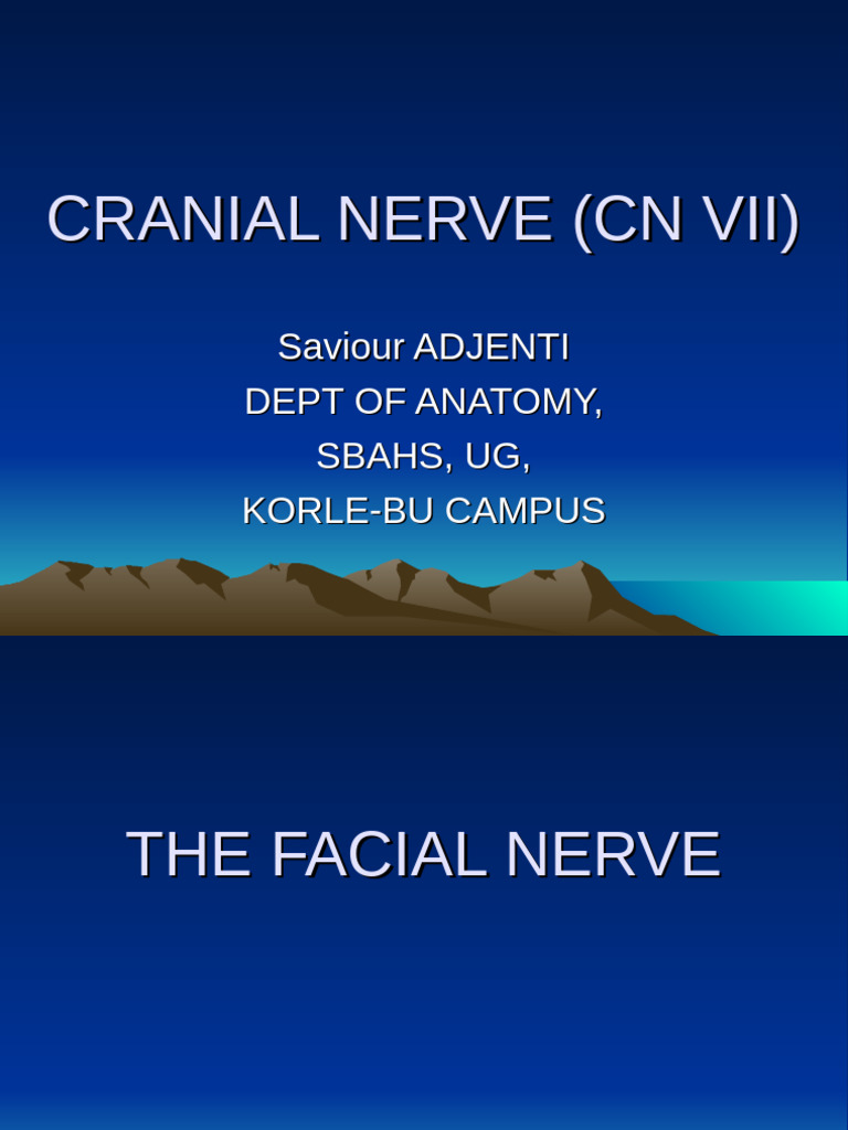 CN VII – FACIAL NERVE | PDF