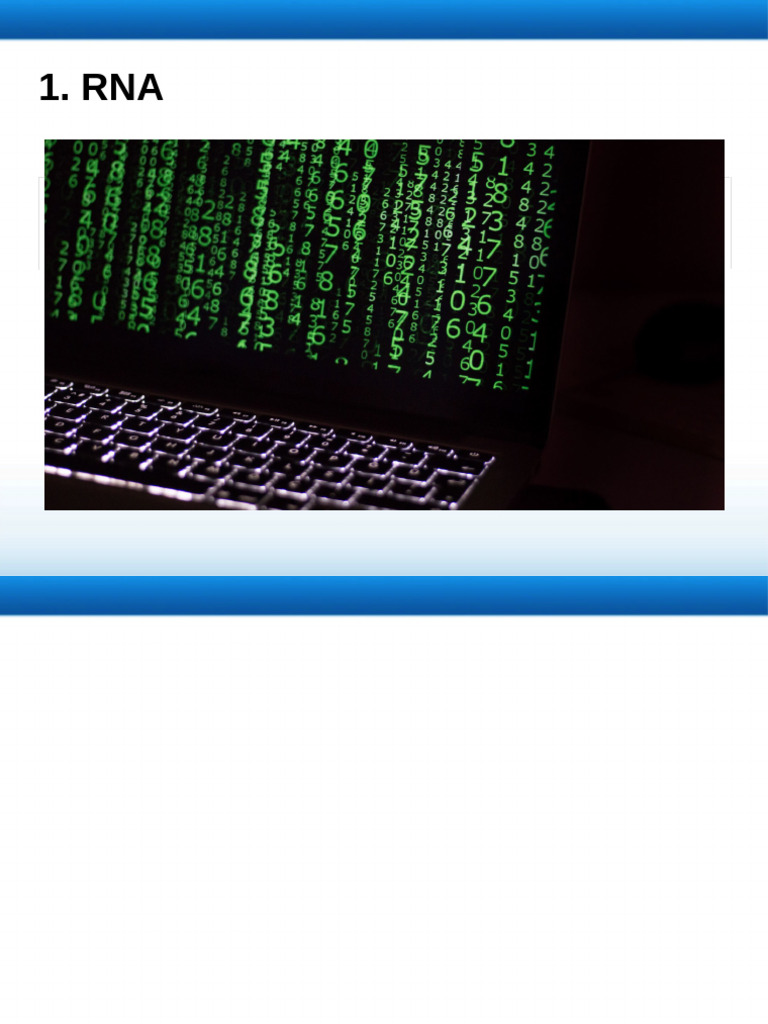 Ch. 2 RNA Synthesis G9 ASP | PDF