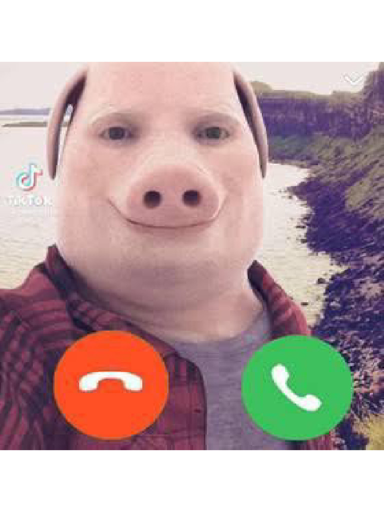 9999999 | PDF