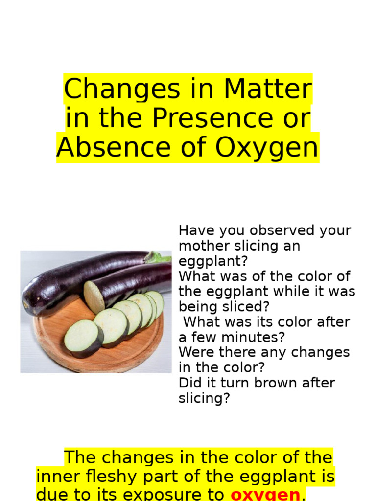 Oxygen's Role in Everyday Changes | PDF | Combustion | Oxygen