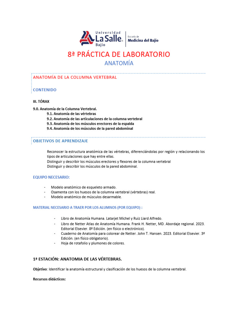8a Práctica Lab Anatomia de La Columna Vertebral (Vértebras y Músculos) PDF | PDF | Esqueleto ...