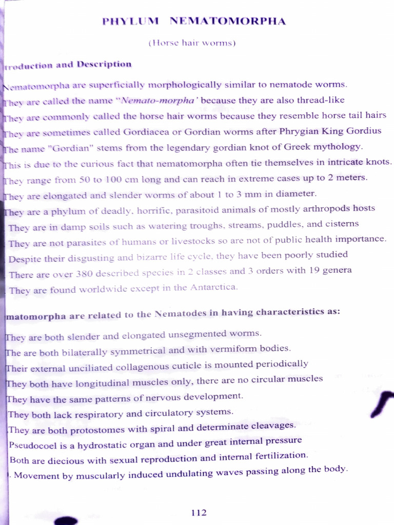 Phylum; Nematomorpha & Acanthocephalan | PDF
