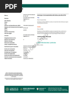 Formato ST-2, Dictamen de Alta Por Riesgo de Trabajo | PDF
