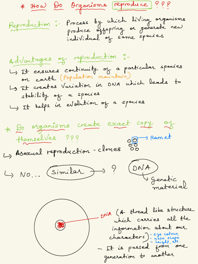 How Do Organism Reproduce | PDF