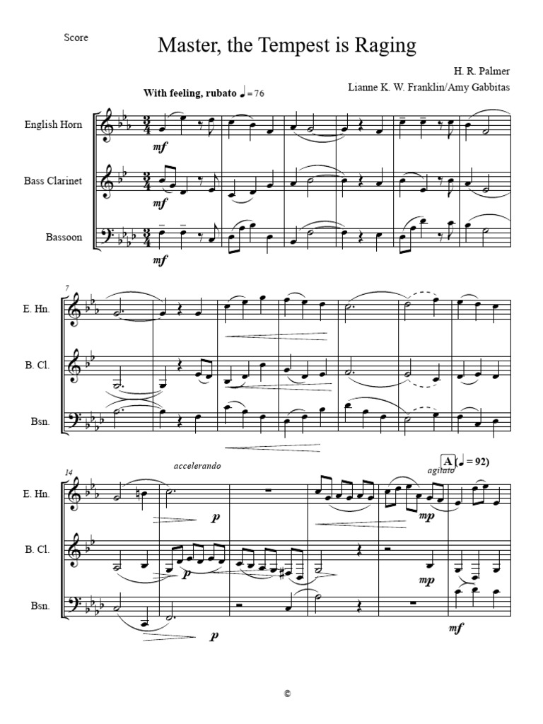 Master, The Tempest Is Raging Reed Trio | PDF | Woodwind Instruments ...