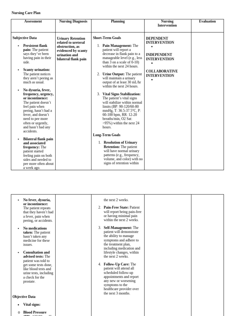 Nursing Care Plan | PDF
