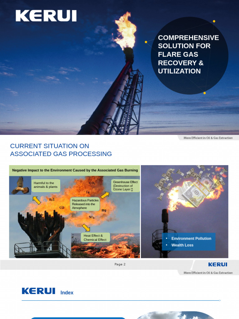 Comprehensive Solution For Flare Gas Recovery & Utilization - 2024.06 | PDF