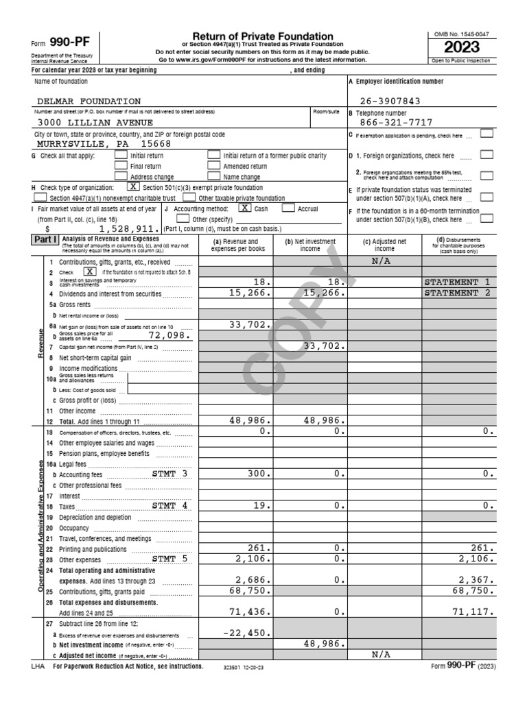 2023 Delmar Foundation Federal Tax Return-Form 990 | PDF
