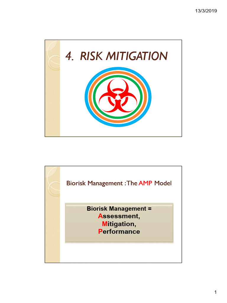 CHAPTER 4 RISK MITIGATION | PDF