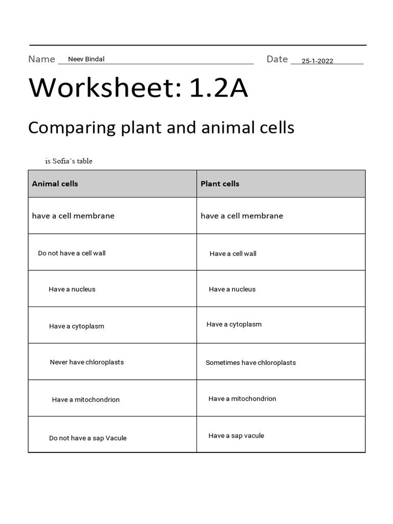 U1_Worksheet2 (3) | PDF