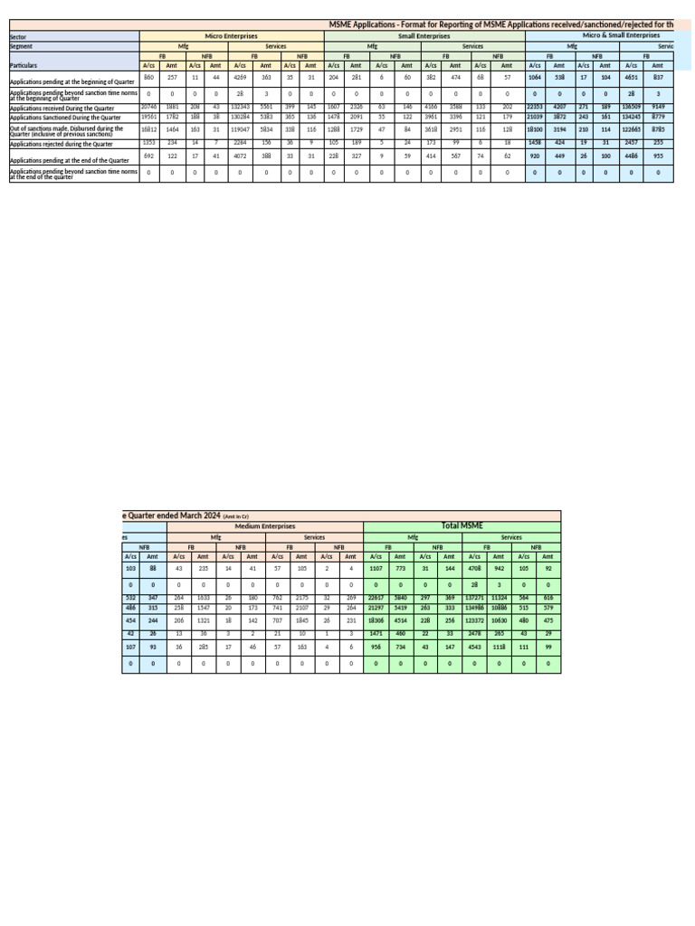 Msme Application - Final - March 2024 Q - Final | PDF