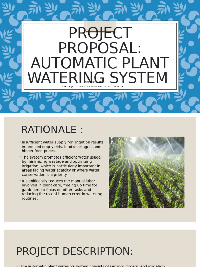 Presentation (13) Aniceta | PDF