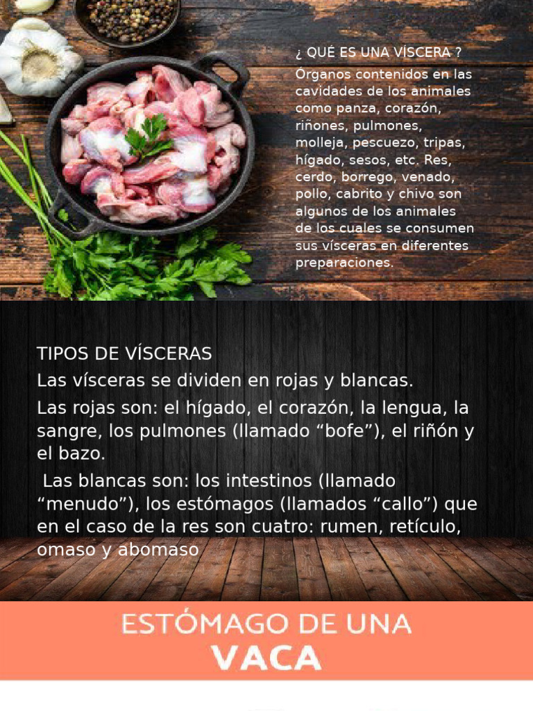 Vísceras y Sus Usos | PDF