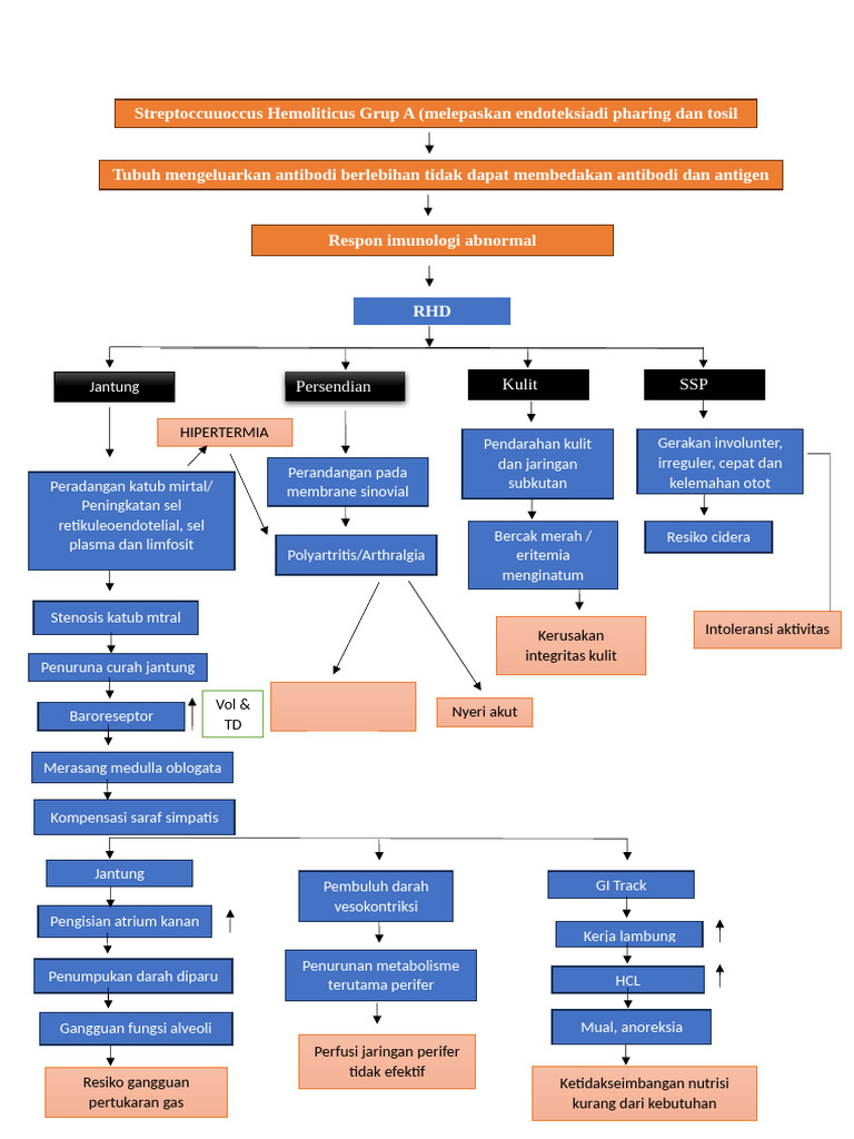 RHD (Kep - Anak) | PDF